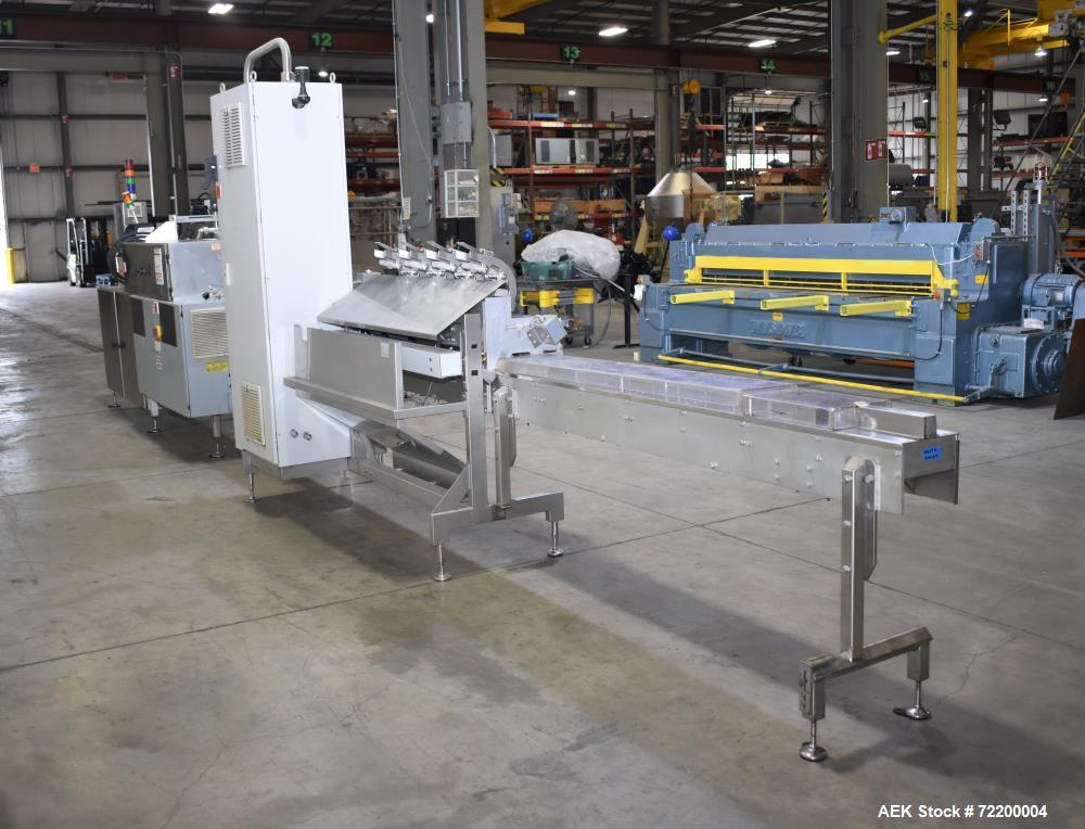 Used Ilapak Eagle High-Speed Flow Wrapper | Delta Systems Packaging Machine